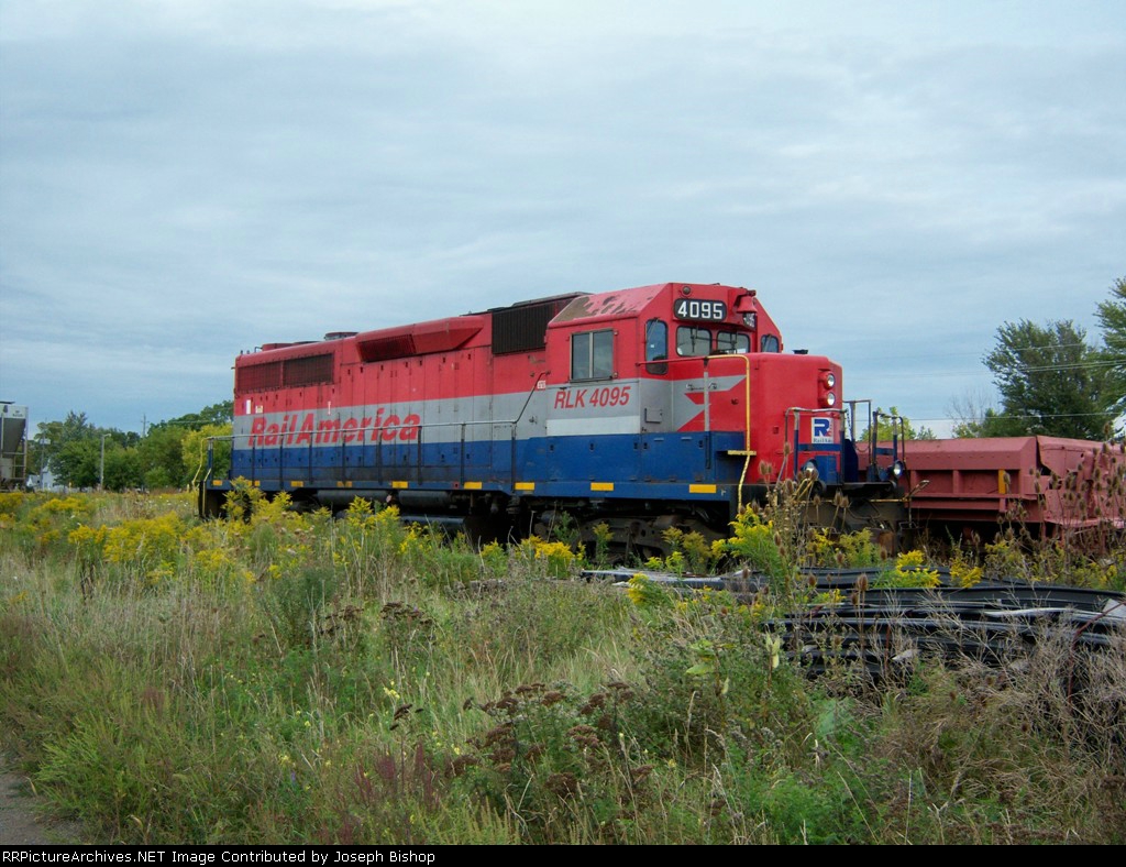 RLK 4095 in Golden Rod